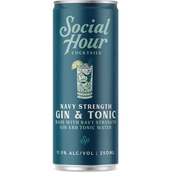 Social Hour Gin & Tonic 4 x 250ml cans – LiquorVerse